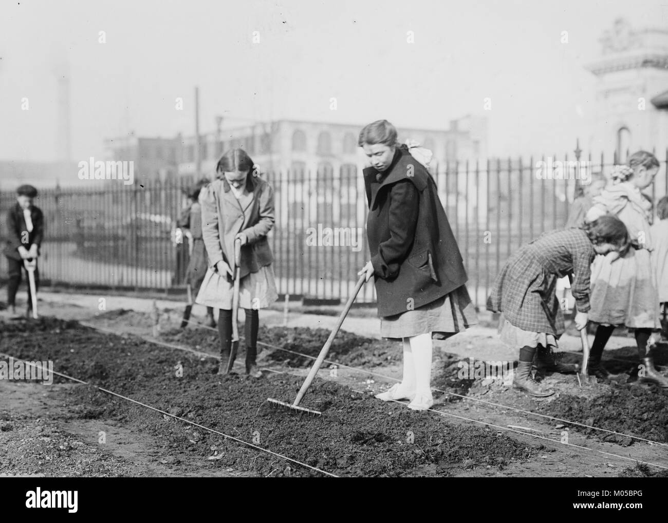 School children outside digging, making garden Stock Photo - Alamy