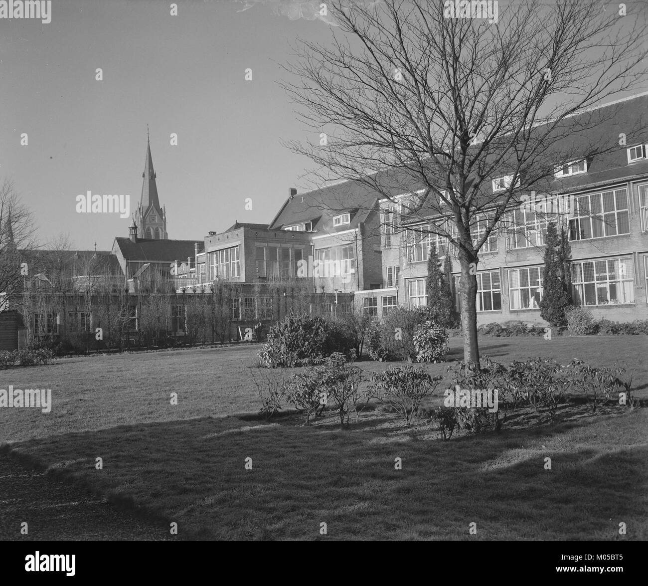 This image depicts foreign Red Cross organizations aiding Dutch ...