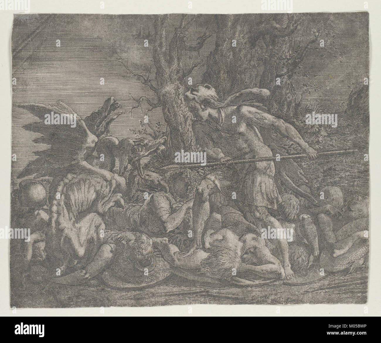 Cadmus dragon hi-res stock photography and images - Alamy