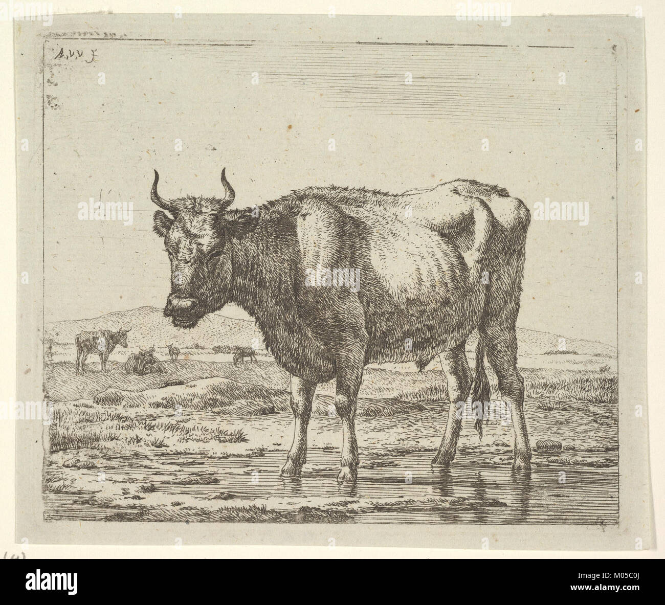 This artwork titled 'Bull Standing in Water' is a depiction of a bull ...