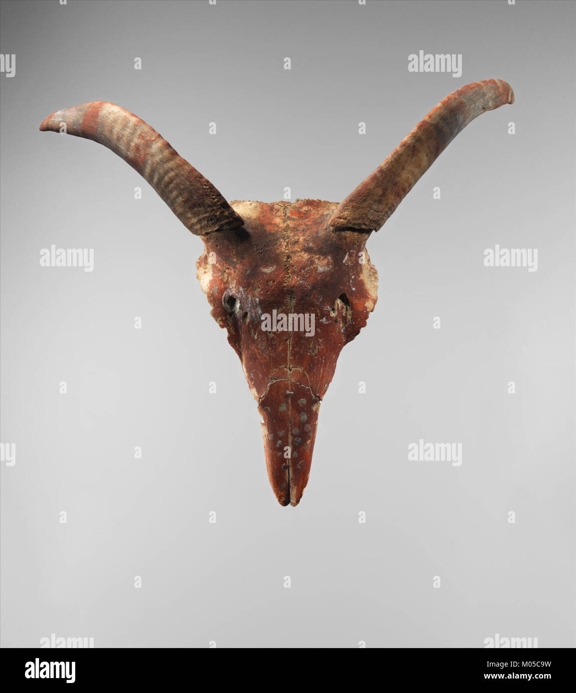 The Bucranium is a decorative motif often used in ancient Roman ...