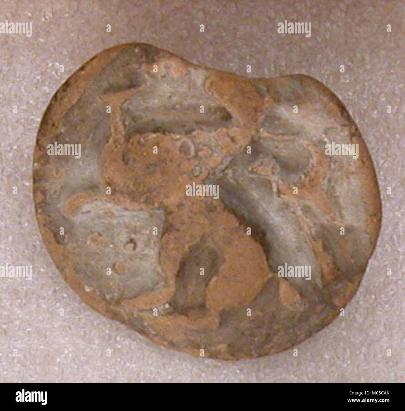 This image shows a bread seal, a small but important historical item ...