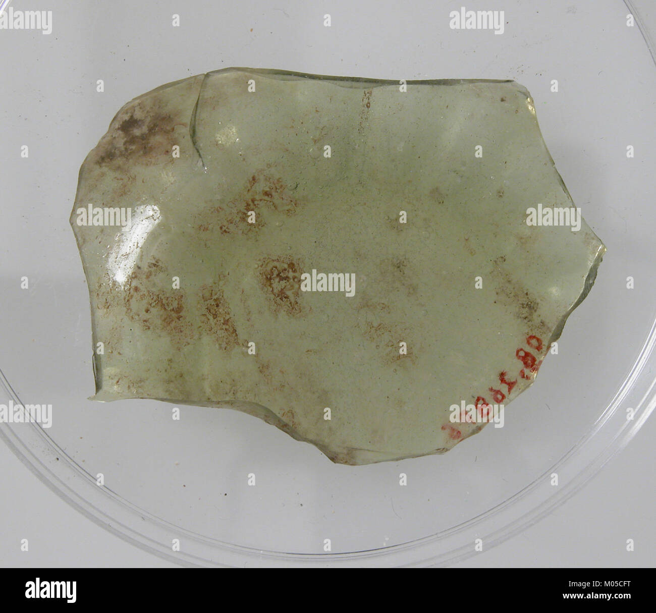 An image showing the bottom of a vessel, highlighting its design and ...