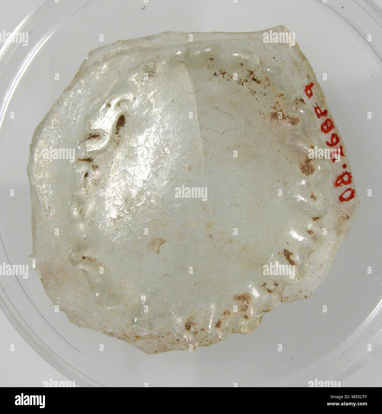 This image shows the bottom section of a vessel, highlighting its foot ...