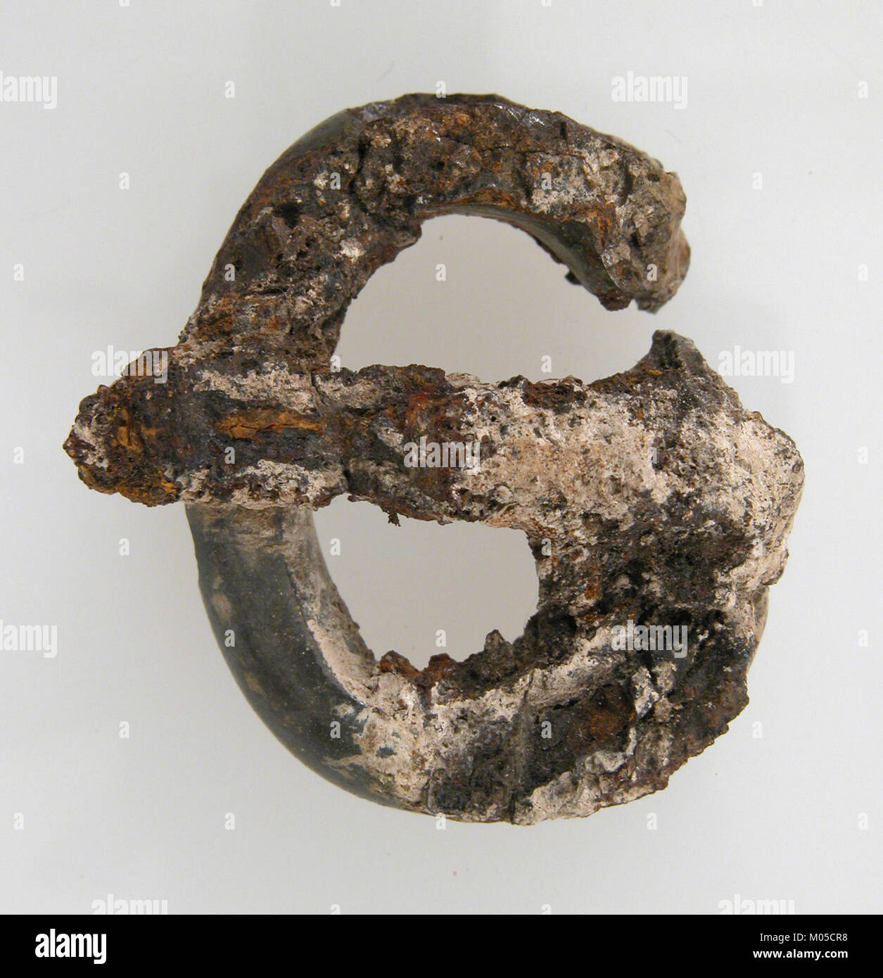 This item, titled 'Buckle Loop and Tongue,' is part of the MET ...