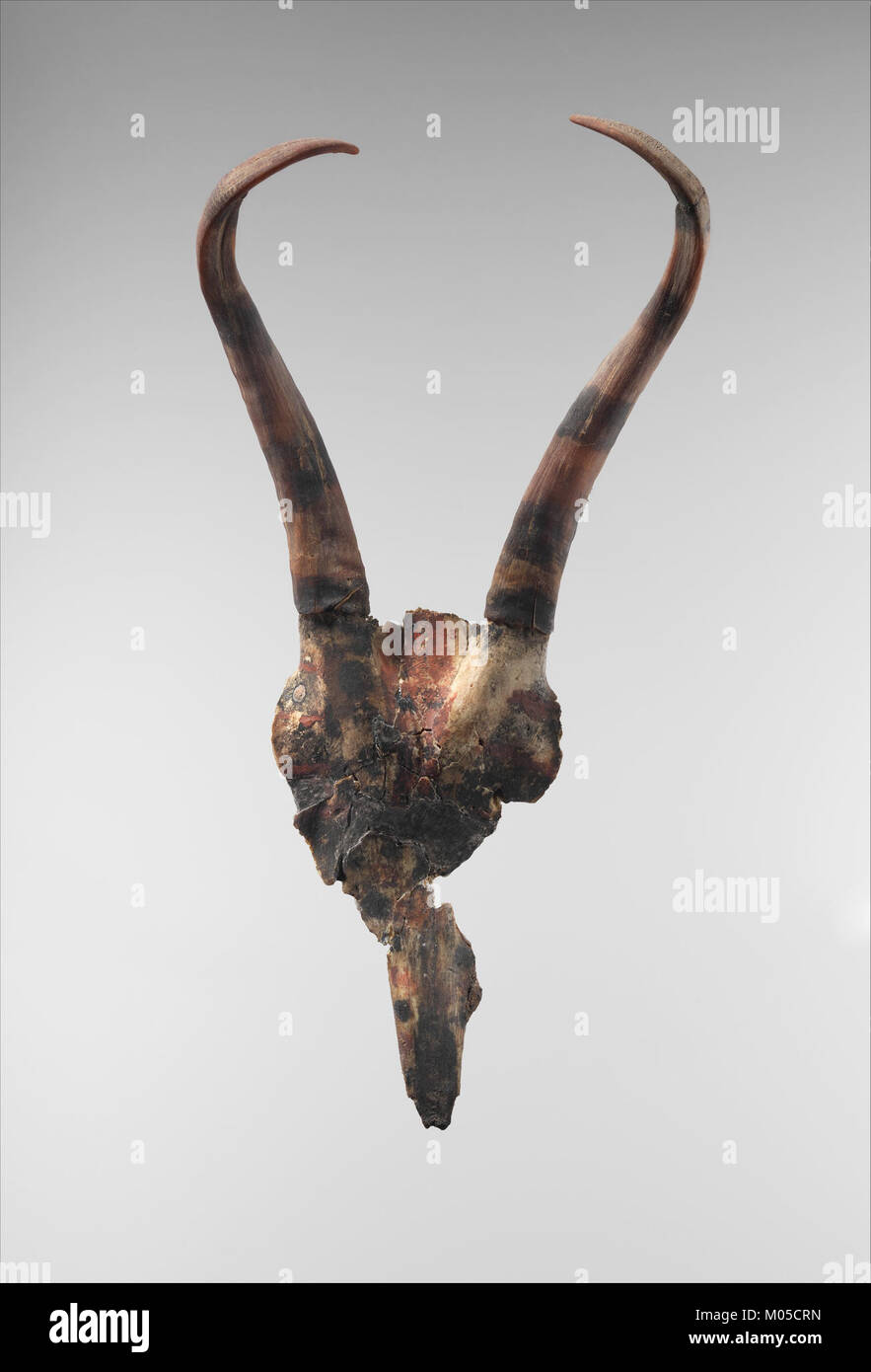 The Bucranium, an ancient Roman decorative motif, represents ox skulls ...