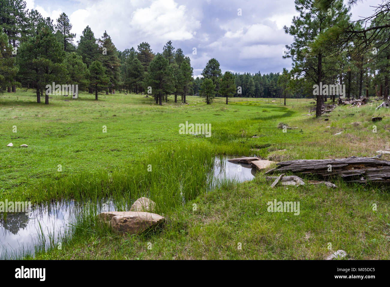 The Buck Springs Cabins are historic cabins located in the United ...