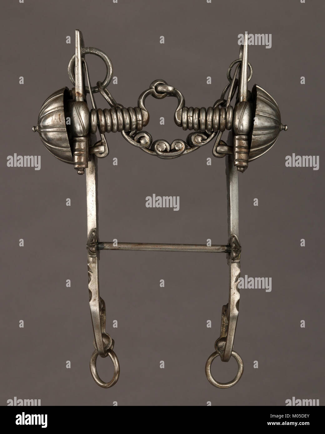 Bridleless hi-res stock photography and images - Alamy