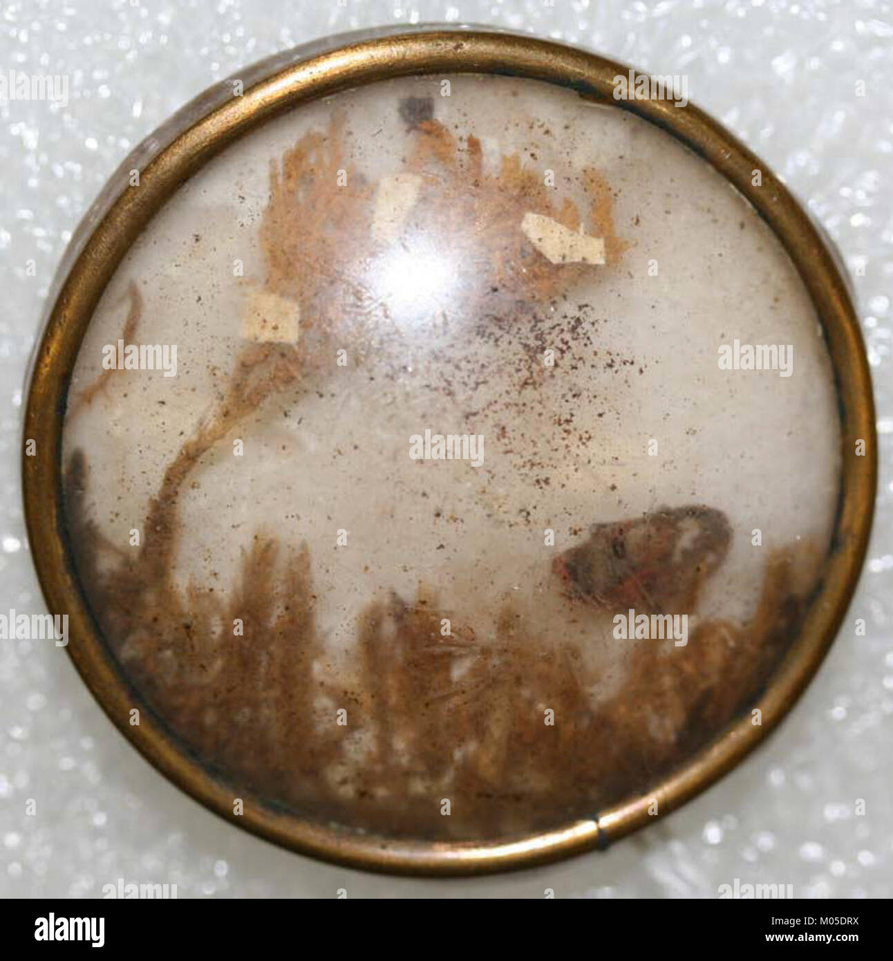 A button from the collection of the Metropolitan Museum of Art ...