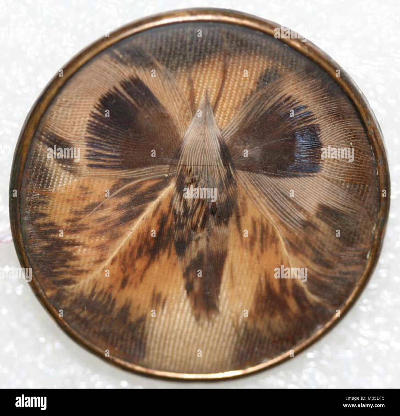 This button, part of the collection at the Metropolitan Museum of Art ...