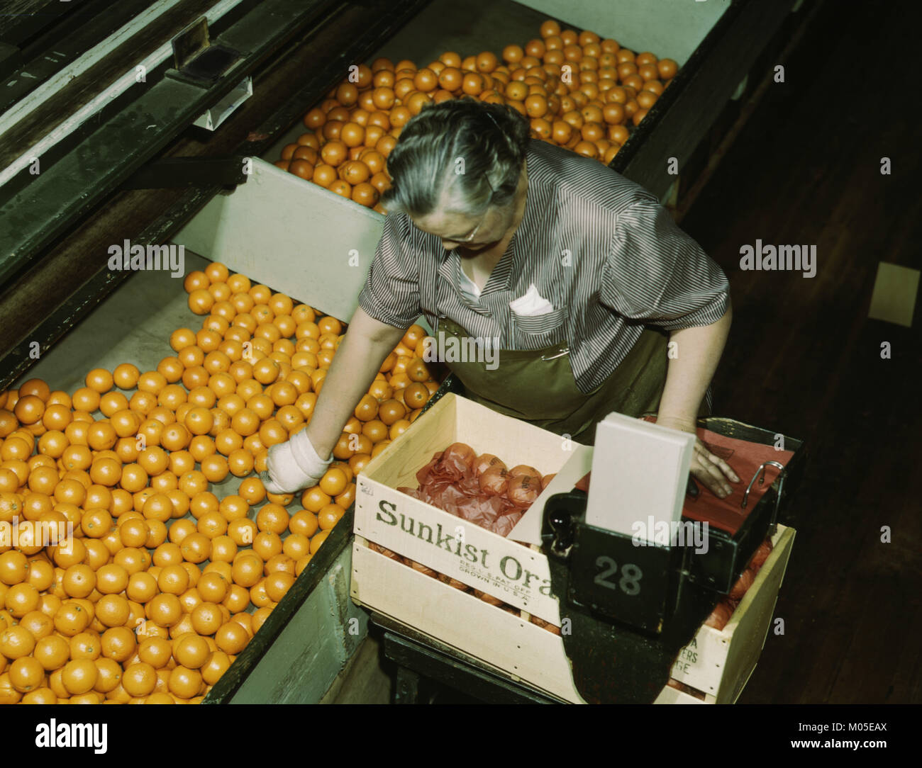 Packing of oranges hi-res stock photography and images - Alamy