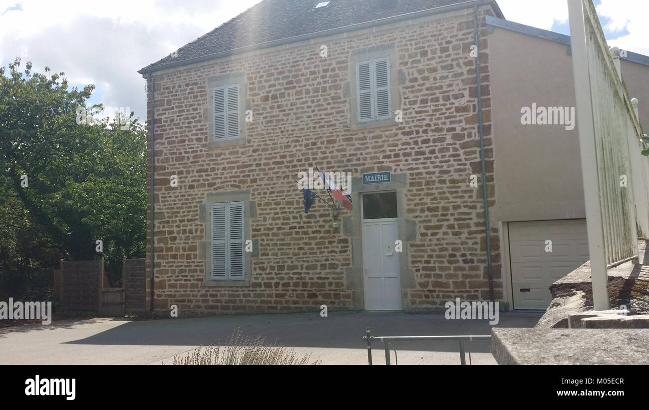 Brainans is a cognitive enhancement technique designed to improve ...