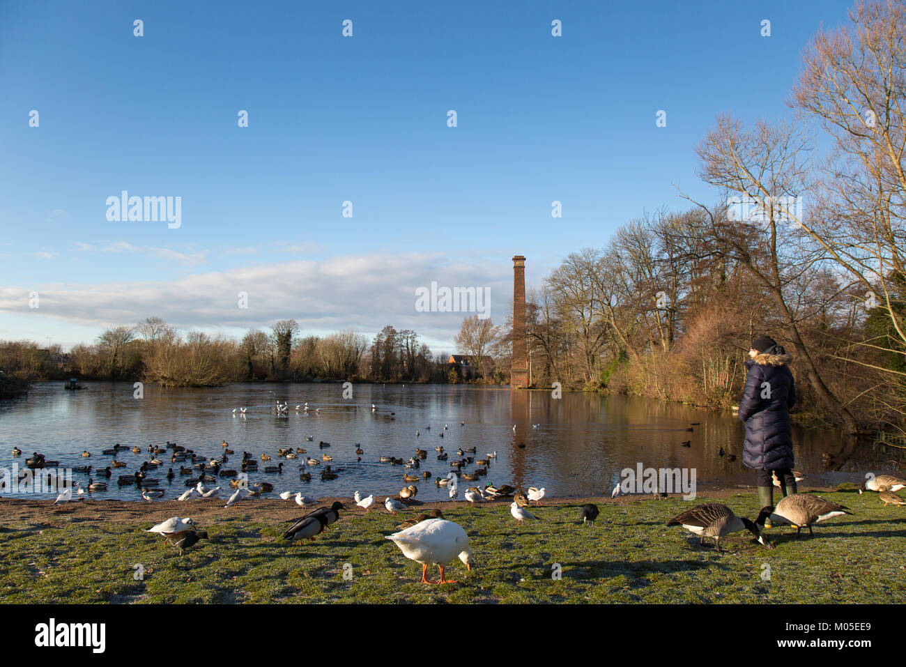 Springfield park kidderminster hi-res stock photography and images - Alamy