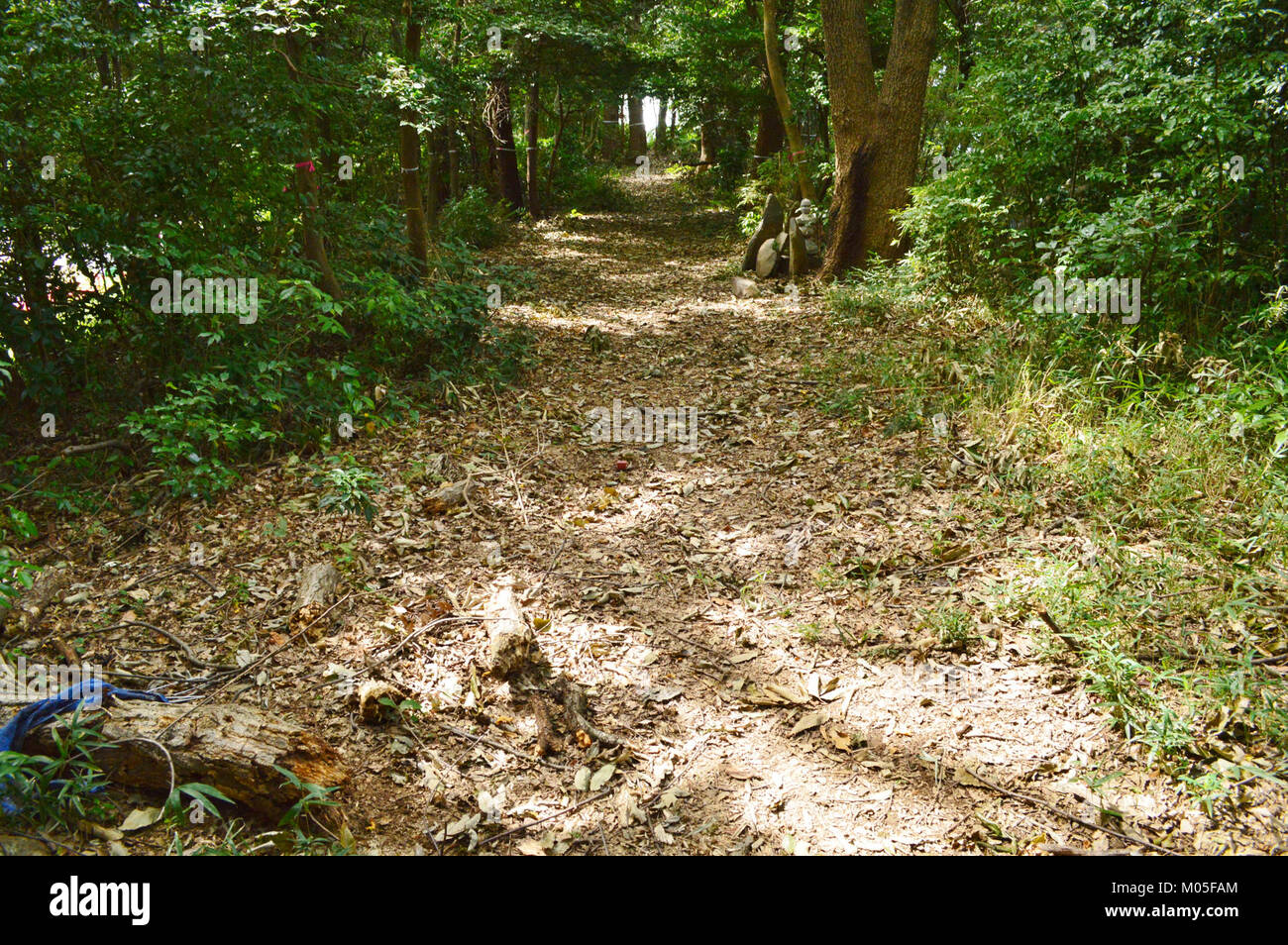 Bounotsuka Kofun is an ancient burial mound located in Japan. The term ...