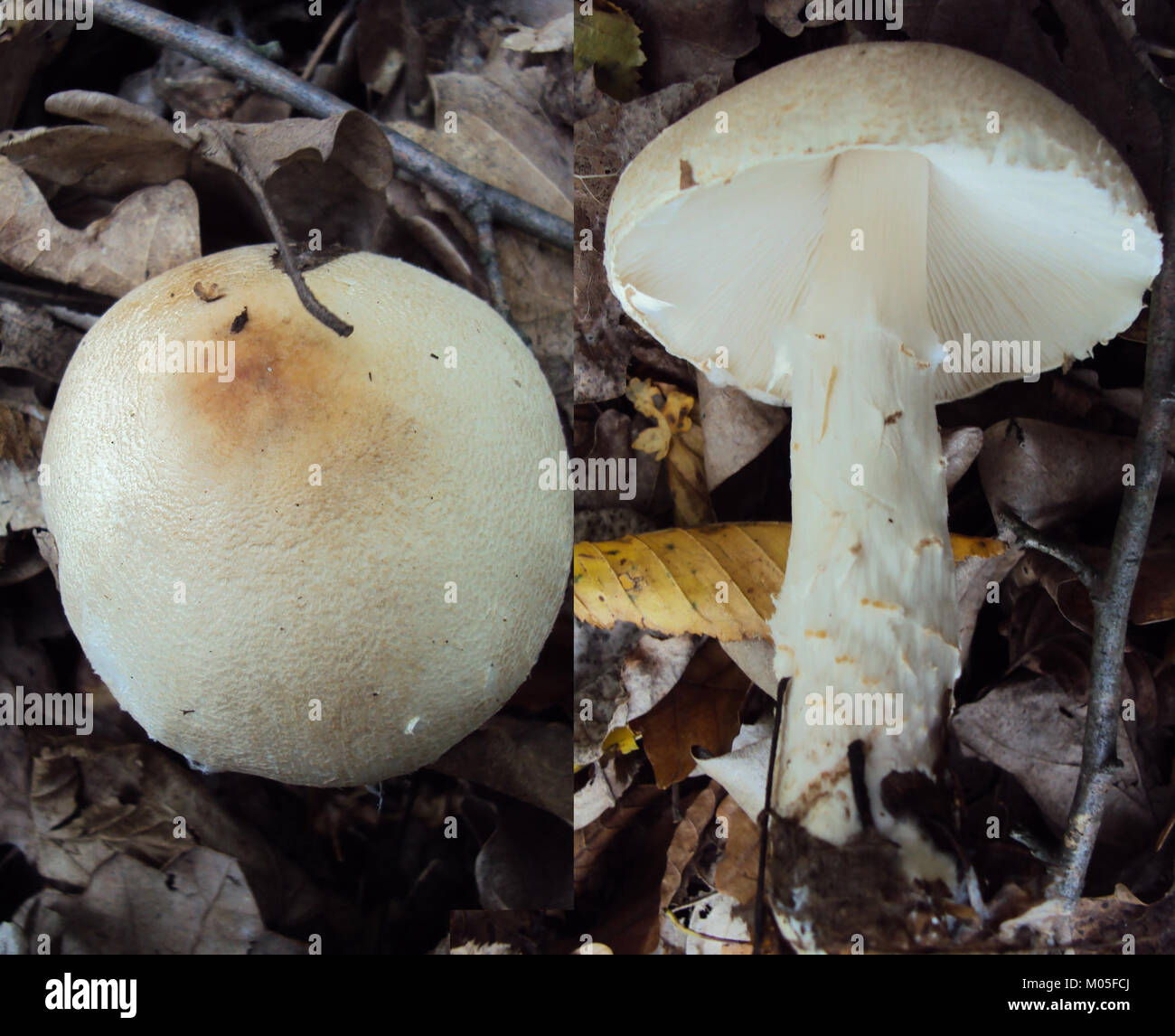 BPT04664 appears to be a reference to a specific identification number, possibly related to a ...