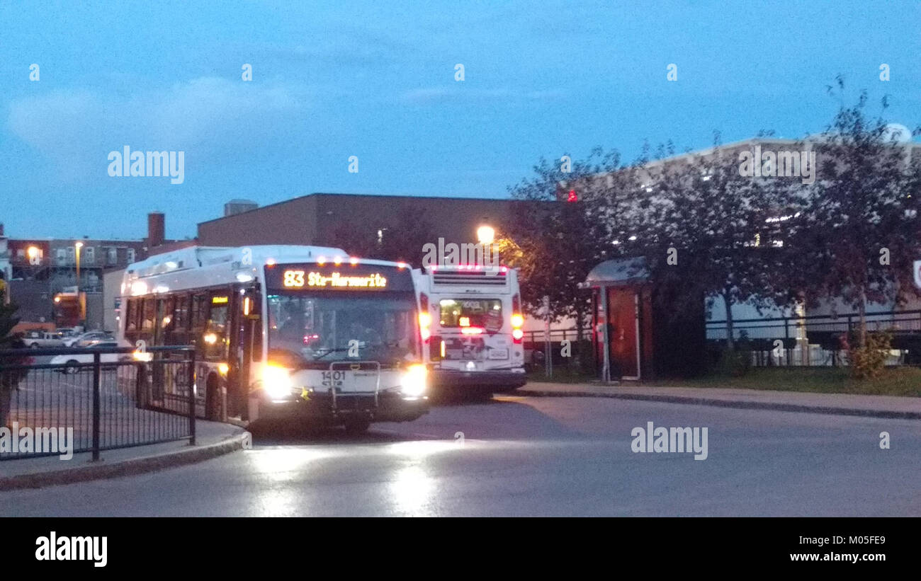 A 1955 Bus STTR, reflecting the mid-20th century era of public ...