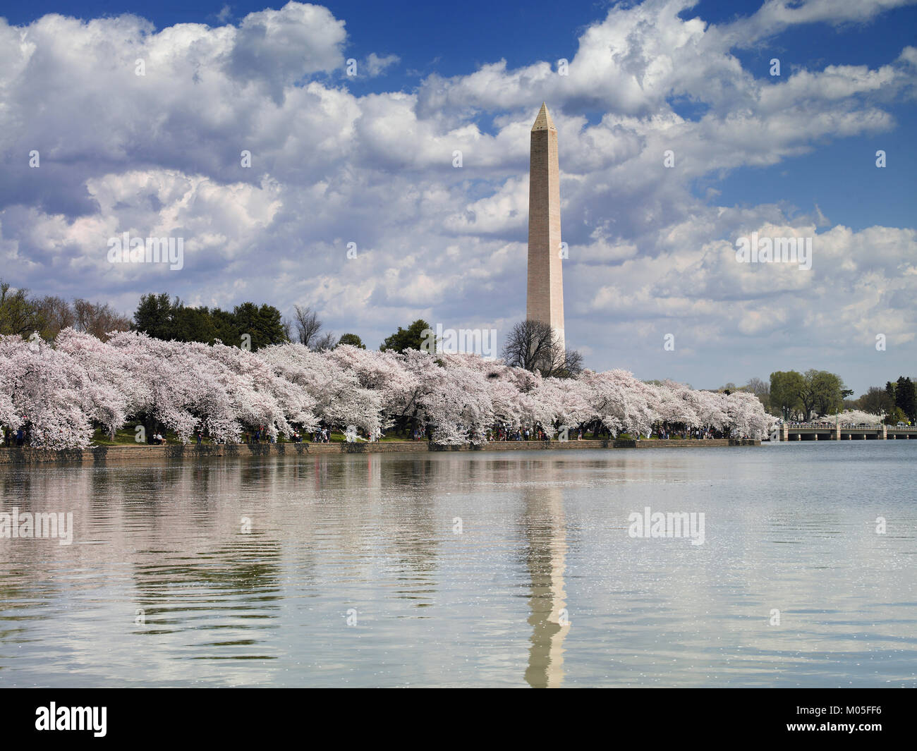 Washington Monument & Tidal Basin Stock Photo - Alamy