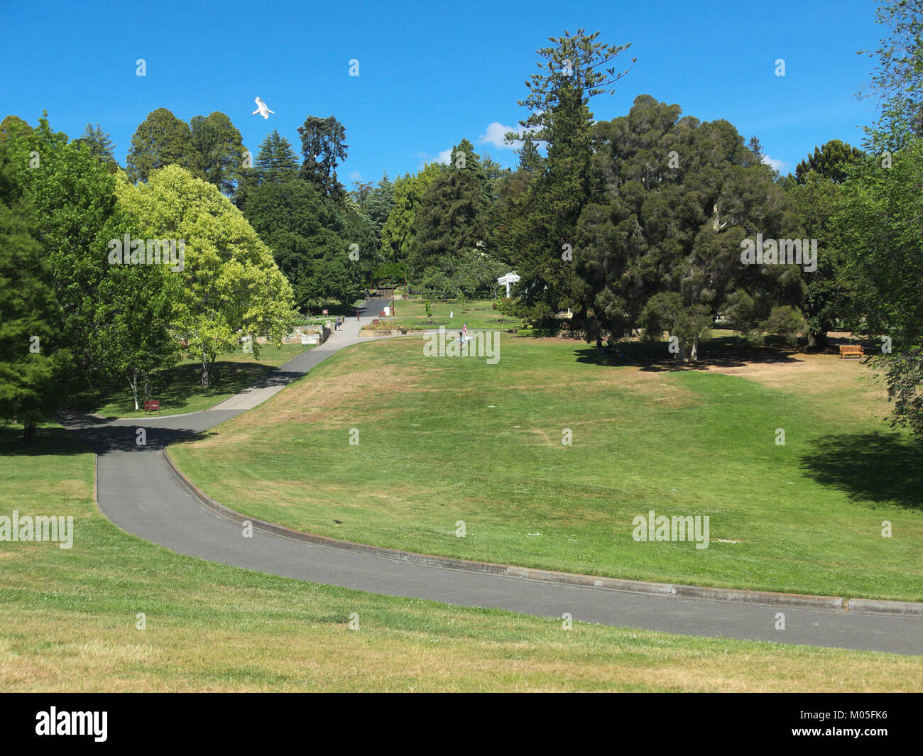 The Botanical Gardens in Hobart, Tasmania, offer a diverse collection ...