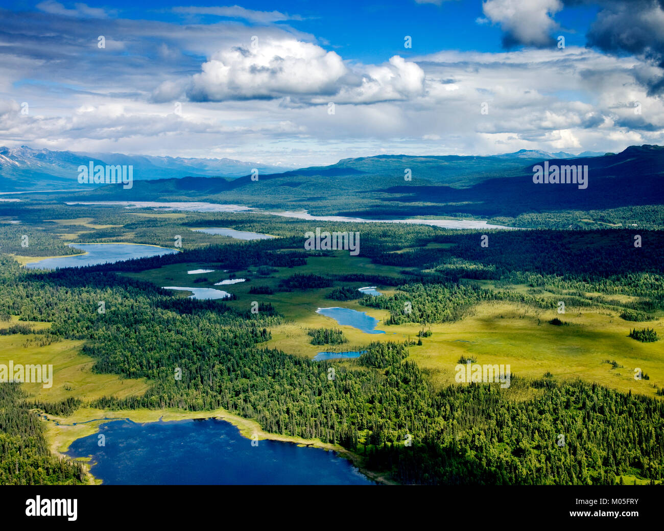 Alpine lakes and forest, Denali National Park, Alaska Stock Photo - Alamy