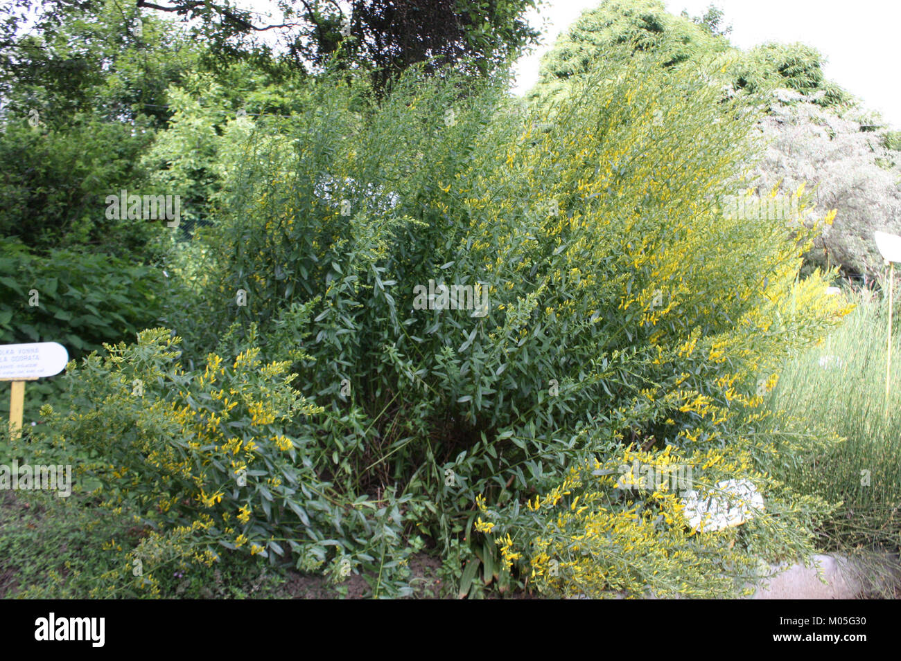The Botanical Garden in Brno, Czech Republic, is a renowned site for ...