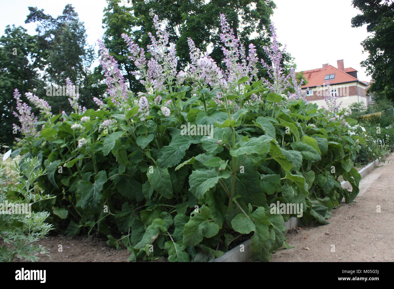 A view of the Botanical Garden at Kravi Hora in Brno, Czech Republic ...