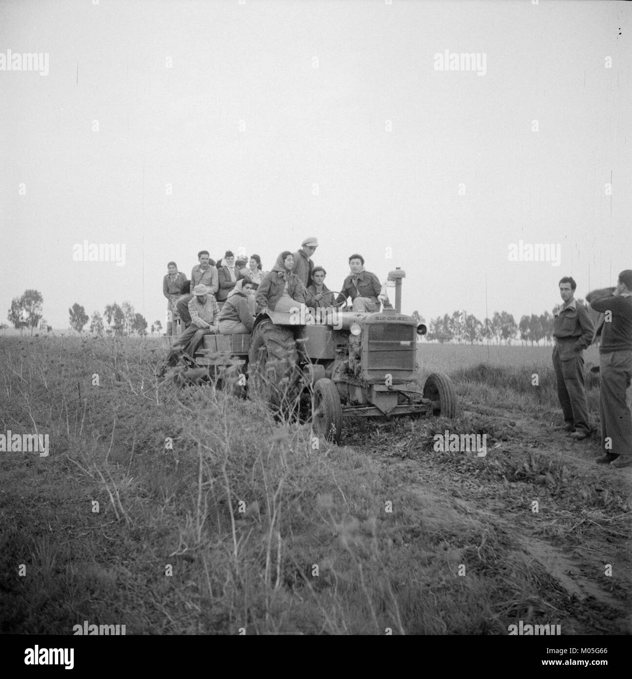 The image captures a morning scene of the Bouwploeg (construction team ...