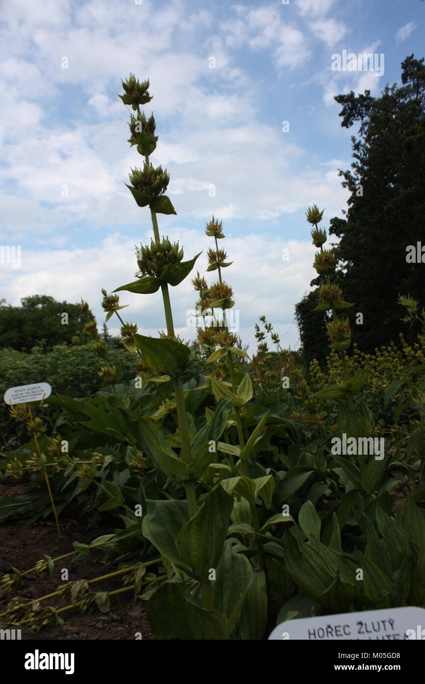 Photograph of the Botanical Garden in Brno, Czech Republic, located on ...