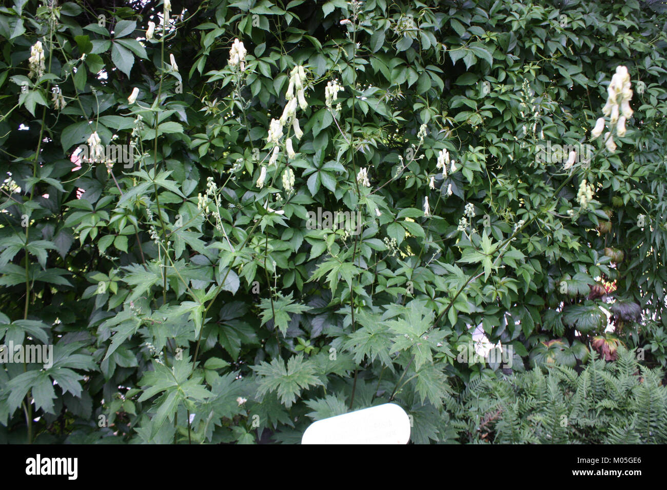 The Botanical Garden at Kravi Hora in Brno offers a space for plant ...