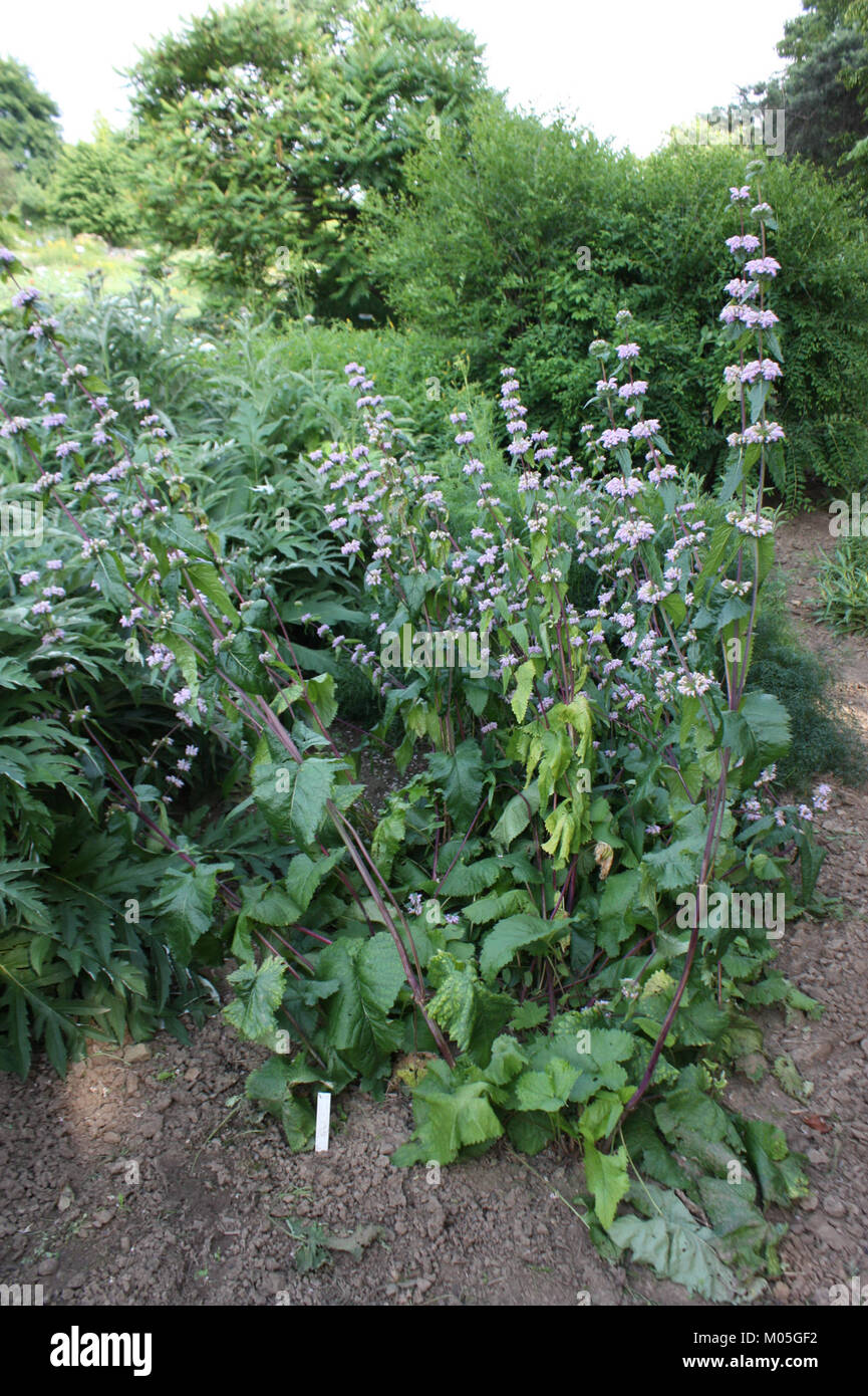 The botanical garden in Brno, Czech Republic, located at Kravi Hora, is ...
