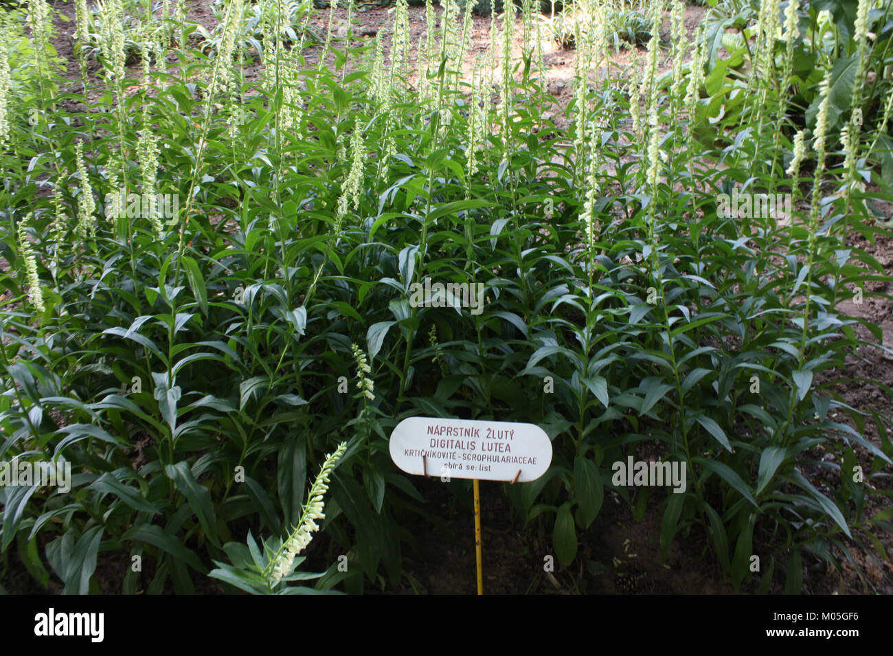 The Botanical Garden in Brno, located on Kraví Hora, Czech Republic, is ...