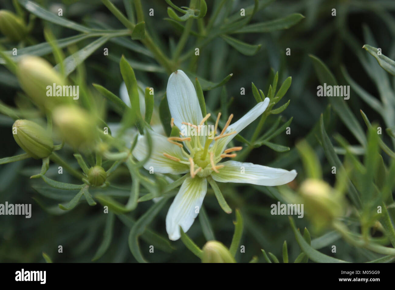 The Botanical Garden of Brno, located at KravÃ­ hora, offers a rich ...