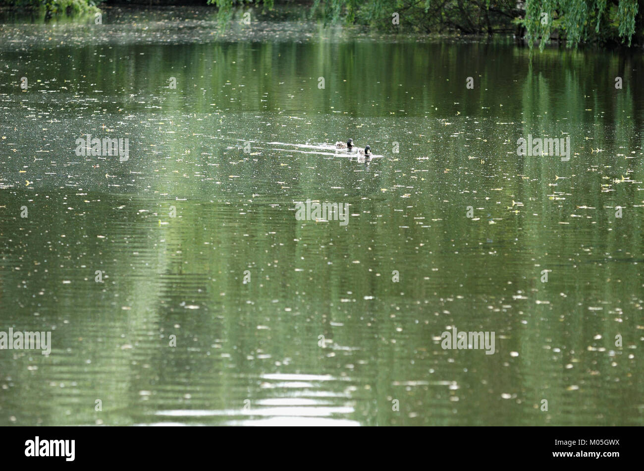 This photograph, taken on June 21, 2005, captures the scenic Broad ...