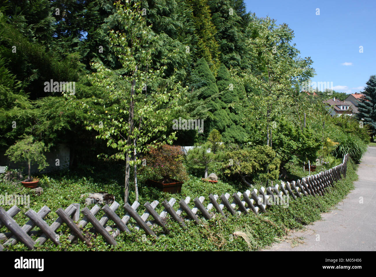 Historical photograph collection hi-res stock photography and images ...