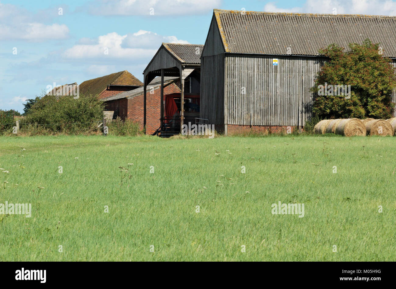 This photograph, taken on August 28, 2005, shows buildings at ...