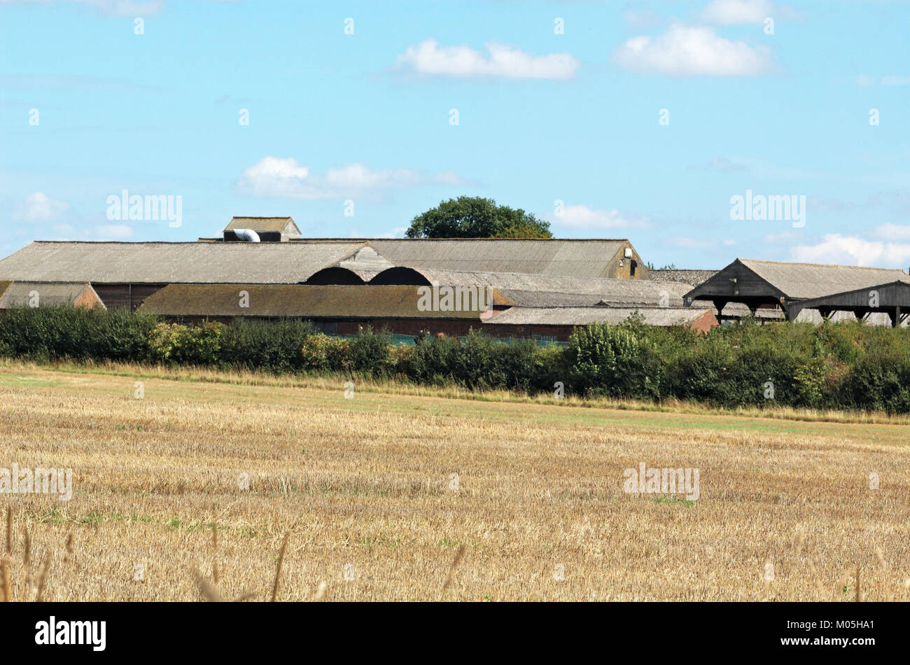 Rothamsted hi-res stock photography and images - Alamy