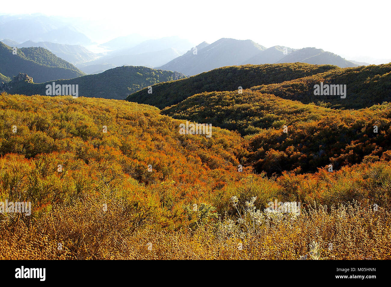 CALIFORNIA - MORRO BAY AREA and SLO County (932493022 Stock Photo - Alamy