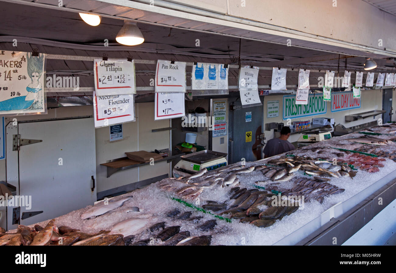 Fish on Ice for Sale Stock Photo - Alamy