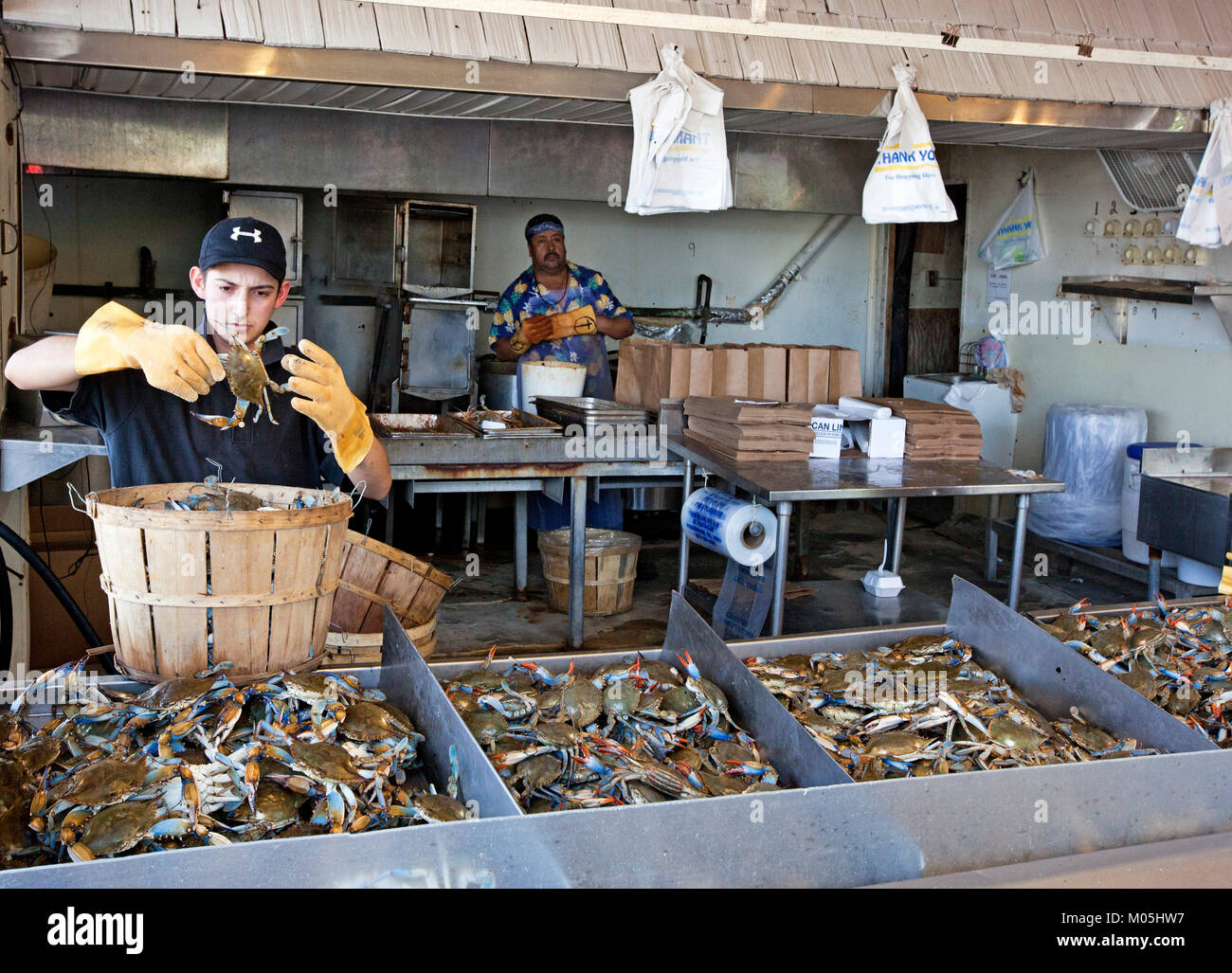 Shell crabs hi-res stock photography and images - Alamy
