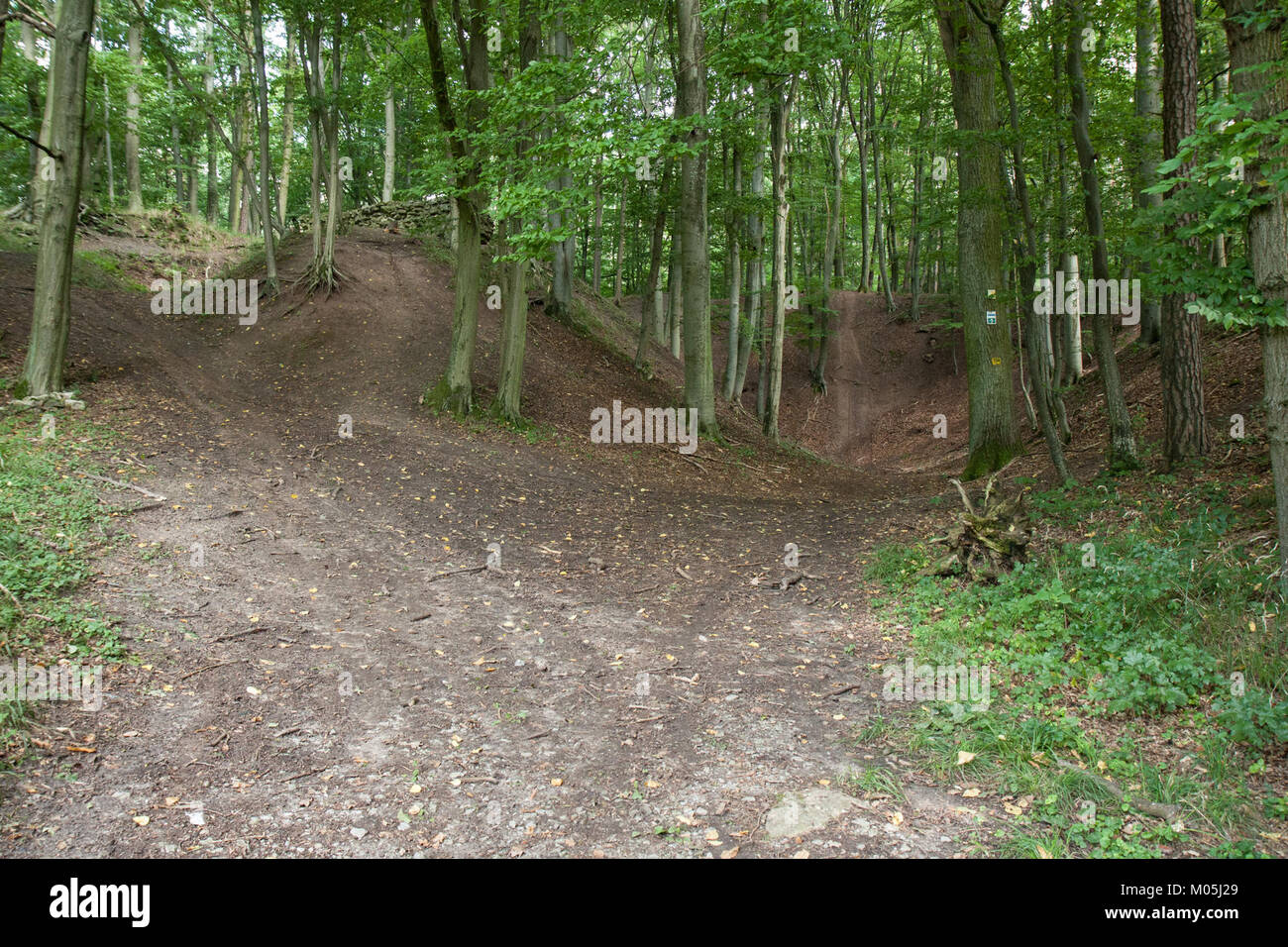 Burgstall Schauerberg is the site of an ancient hillfort in Germany ...