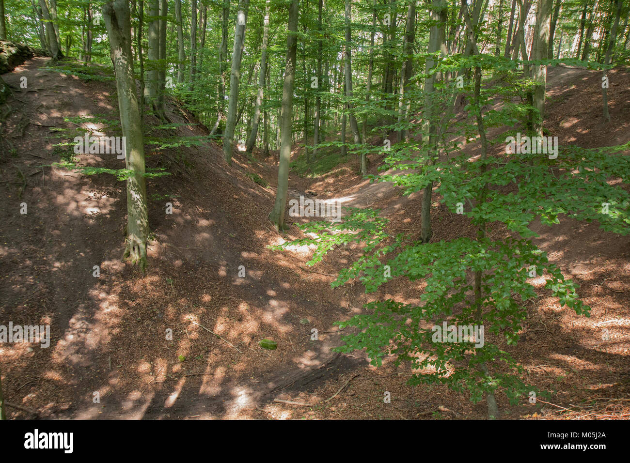 Burgstall Schauerberg is an archaeological site located in Germany. It ...