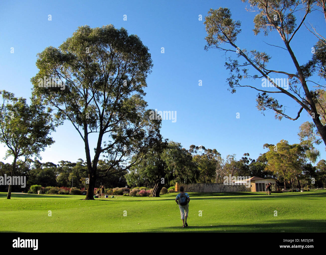 Botanic garden, Perth Stock Photo - Alamy