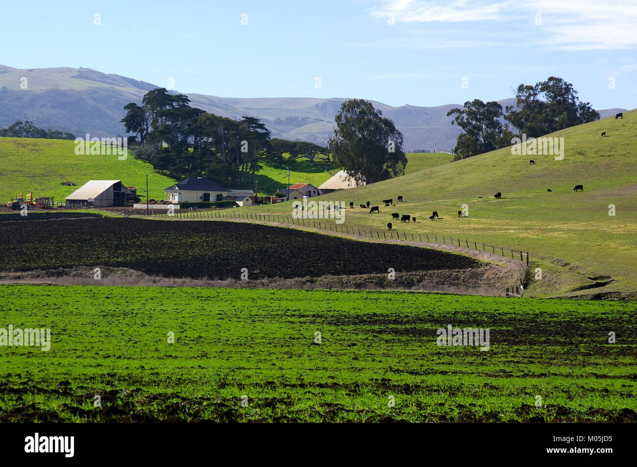 Morro Bay Area in California, located in San Luis Obispo (SLO) County ...