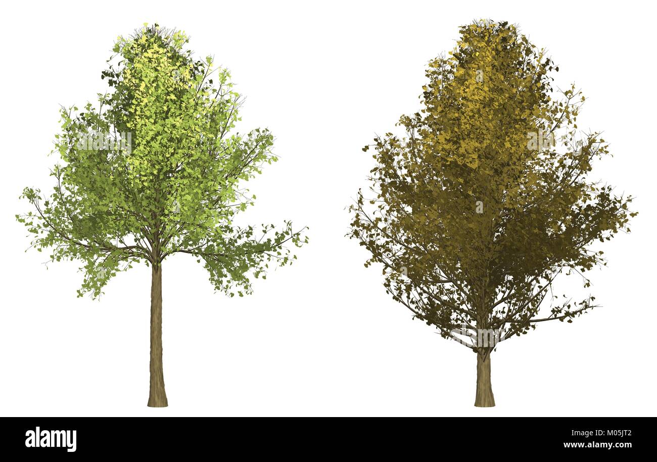 Vegetation vector vectors hi-res stock photography and images - Alamy