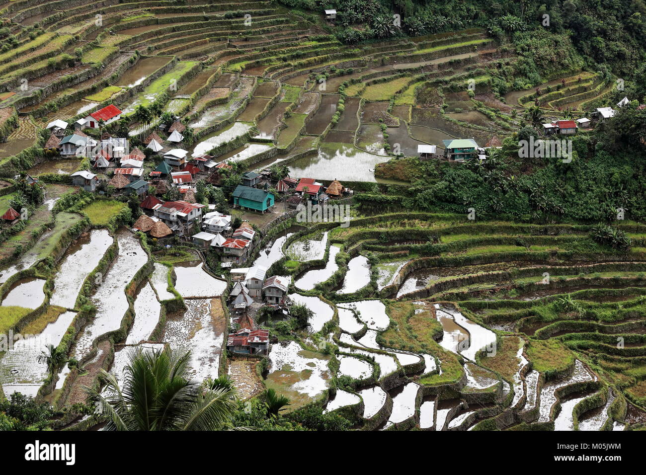 The Batad village cluster-part of the Rice Terraces of the Philippine ...