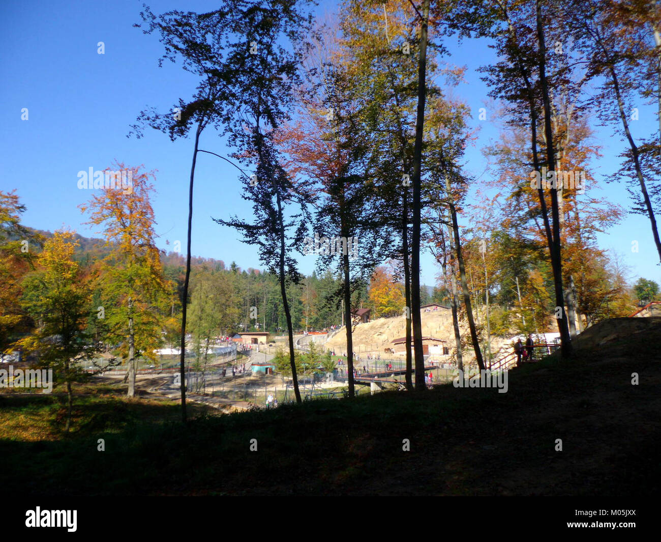 This image showcases the Brașov Zoo, located in Brașov, Romania. The ...