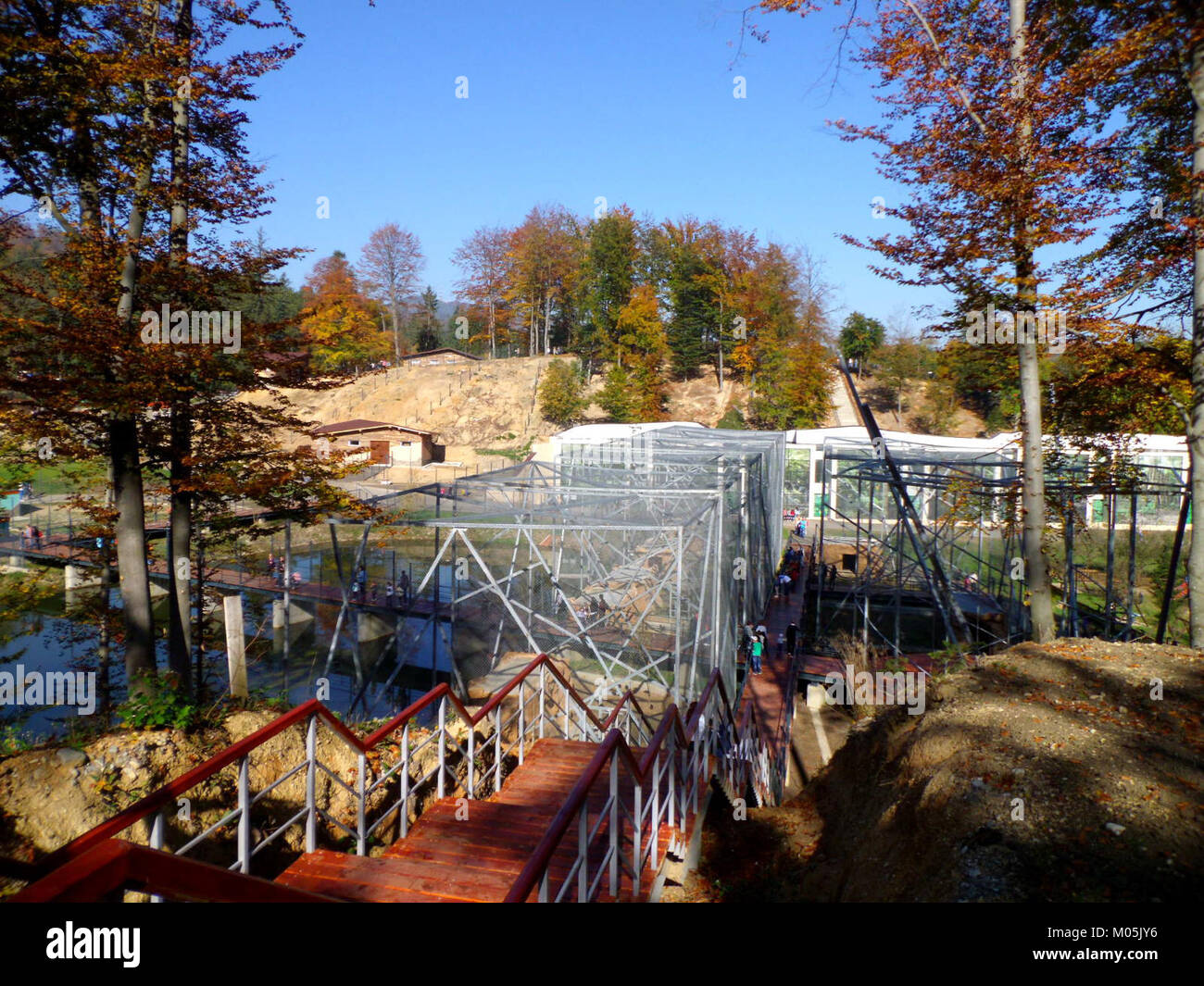 Animals from the zoo hi-res stock photography and images - Alamy