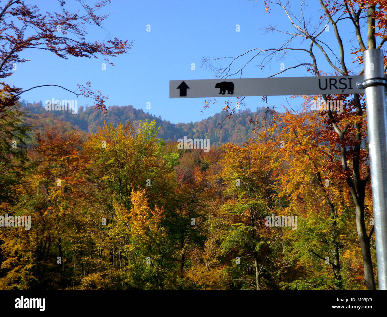 Brasov Zoo is located in Romania and is home to a diverse collection of ...