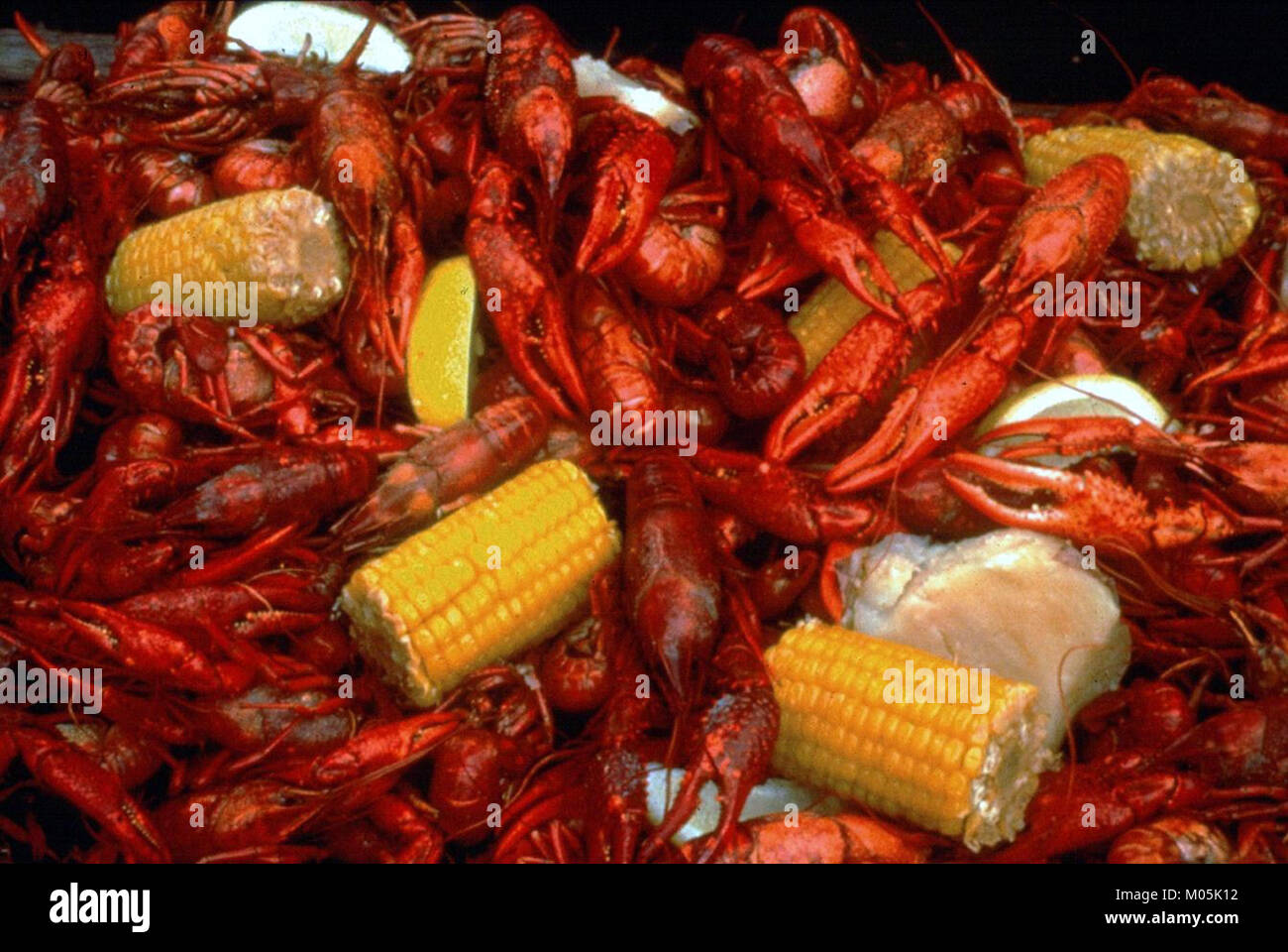 An introduction to Cajun cuisine, highlighting its rich flavors, spices ...