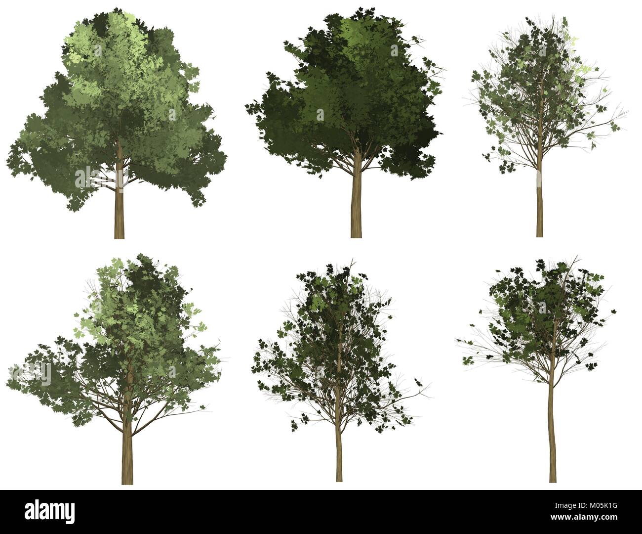 6 trees hi-res stock photography and images - Alamy