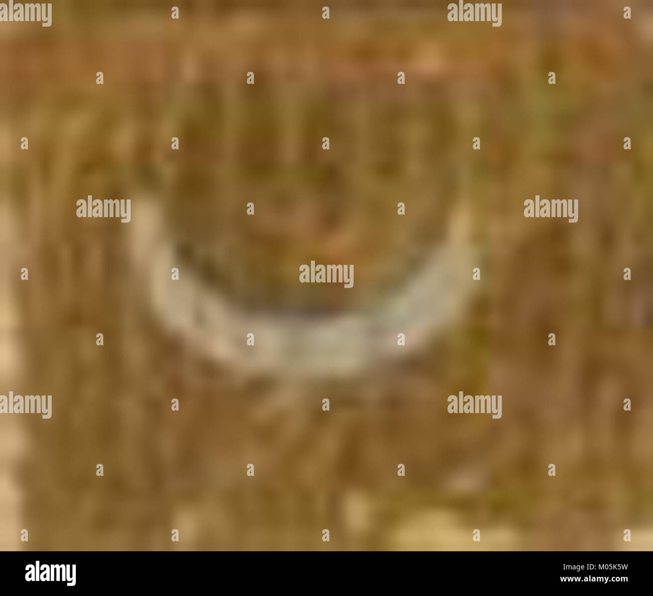 The Bornu flag of Vallseca is a historical flag associated with the ...